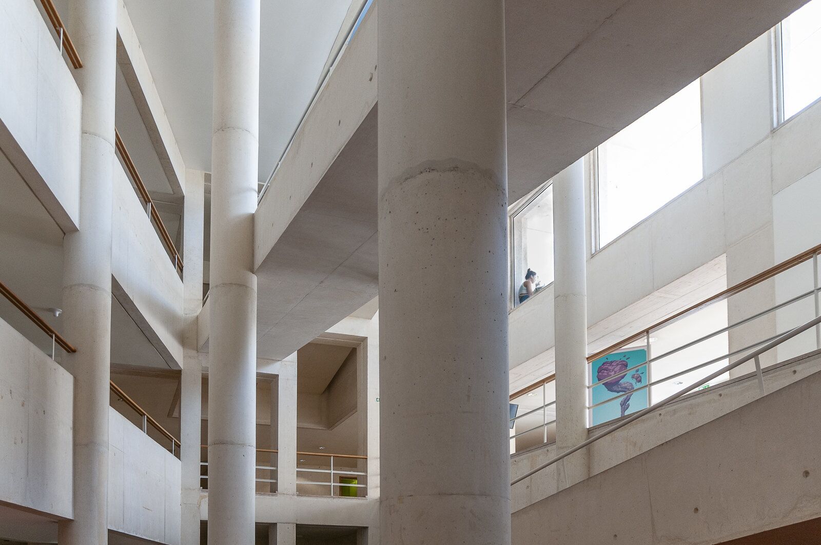 About the host institute - IMISCOE