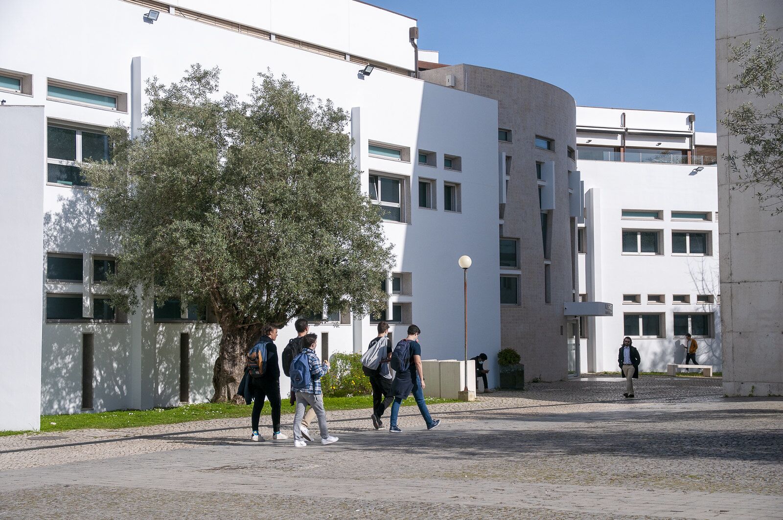 About the host institute - IMISCOE