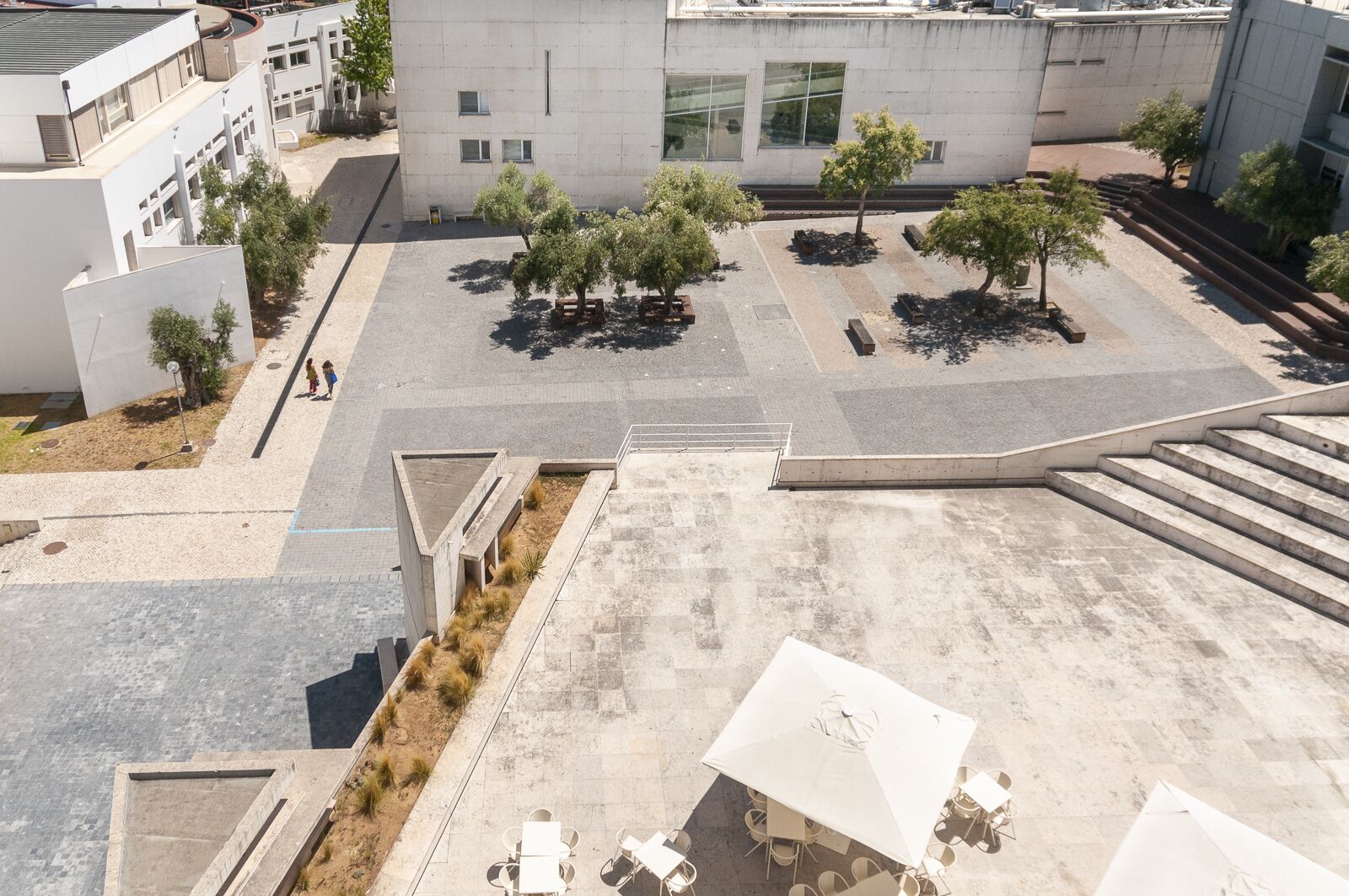 About the host institute - IMISCOE