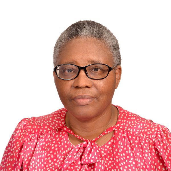 IMISCOE Conference Portal - IMISCOE